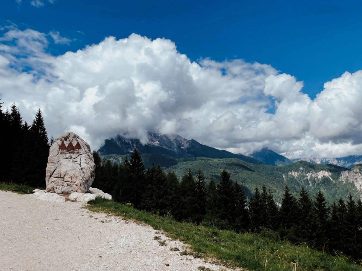 Alles blüht am Jenner - Wanderung von der Mittelstation der Jennerbahn ...