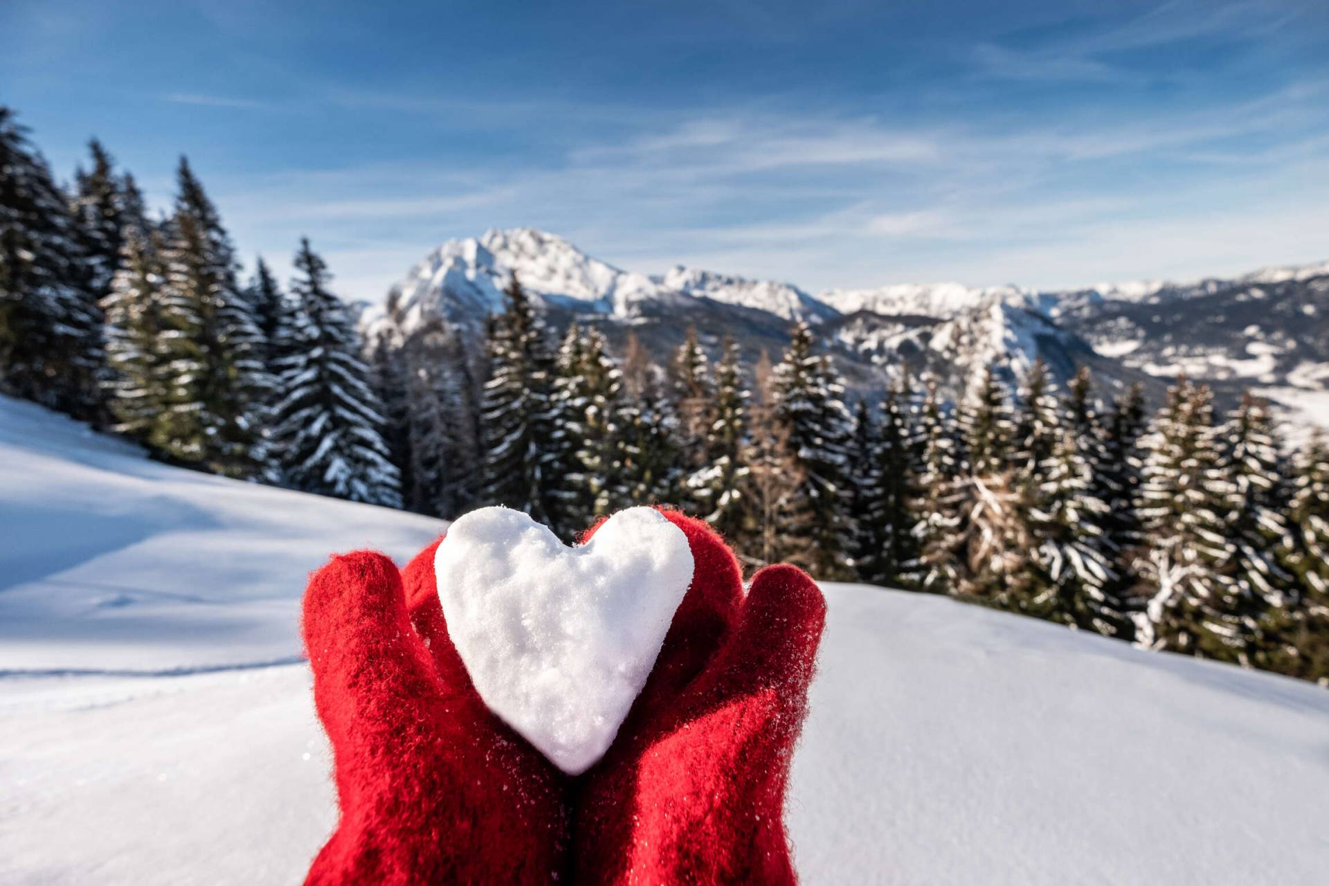 WPScreens Archiv - Jennerbahn